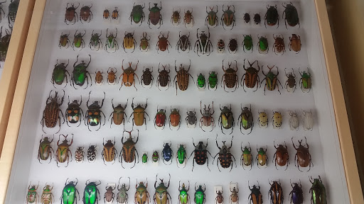 Museum «Insectropolis», reviews and photos, 1761 U.S. 9, Toms River, NJ ...