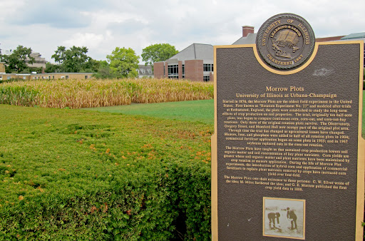 Morrow Plots - AZexplained