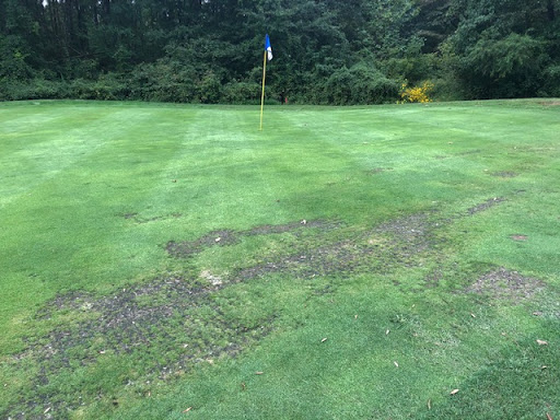 Golf Course «Greendale Golf Course», reviews and photos, 6700 Telegraph ...