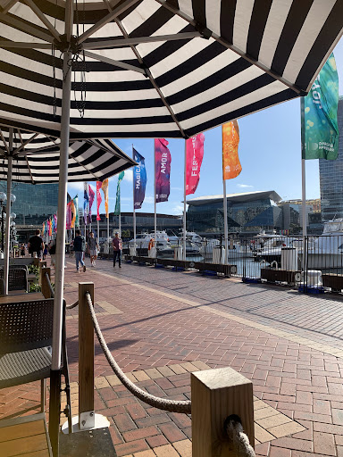 Pontoon Bar in Sydney, NSW - Zaubee