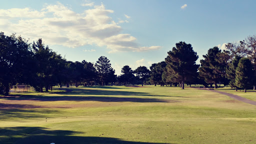 Golf Club «Lone Star Golf Club», reviews and photos, 1510 Hawkins ...