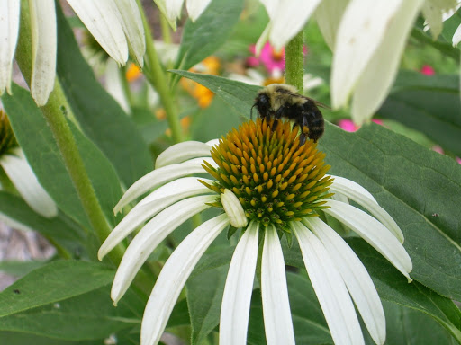 Alabama Green Industry Training Center, Inc. - AZexplained