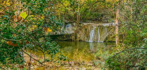 Park «Wild Basin Wilderness Preserve», reviews and photos, 805 N ...