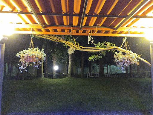 Ristorante Pinin in Varallo pombia con cucina Italiana