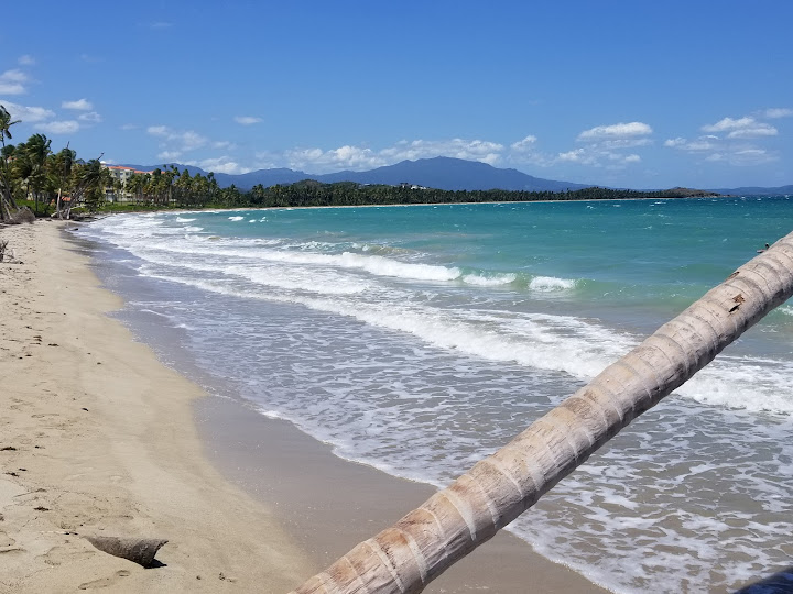 Playa Secret Humacao 🏖️ Mar y Palmas, Puerto Rico - detailed features ...