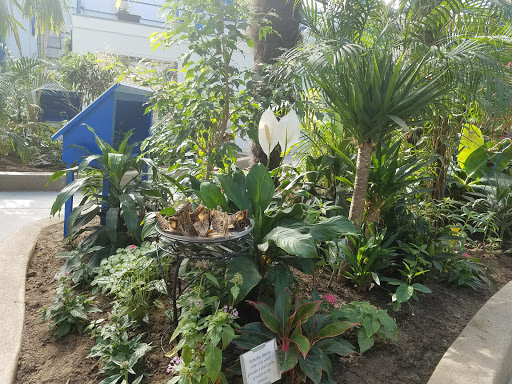 Museum «Philadelphia Insectarium and Butterfly Pavilion», reviews and ...