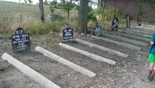 Buffalo Ridge Ghost Town - Buffalo Ridge, South Dakota - Zaubee