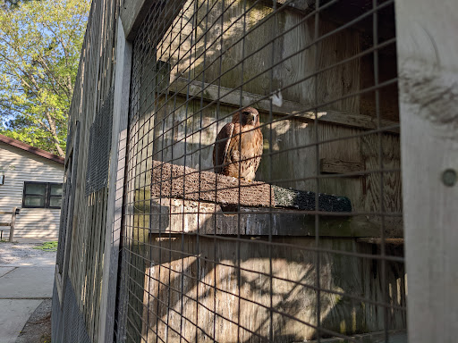 Nature Preserve «Iowa Raptor Center», reviews and photos, 2095 Mehaffey ...