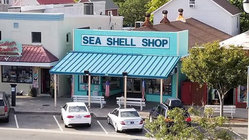 Sea Shell Shop - AZexplained