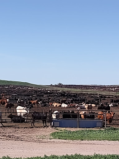 North Platte Stockyards - AZexplained