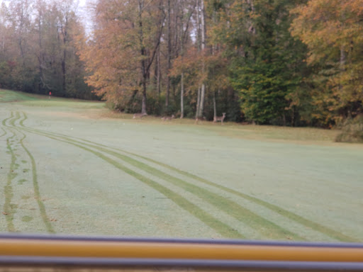 Golf Course «Rolling Green Golf Course», reviews and photos, 386 Hester ...