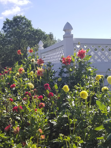 Cornell Cooperative Extension of Oneida County - AZexplained