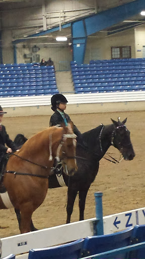 Stadium «Calsonic Arena», reviews and photos, 721 Whitthorne St ...