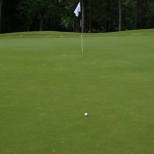 Golf Club «High Meadow Ranch Golf Club», reviews and photos, 37300 Golf ...