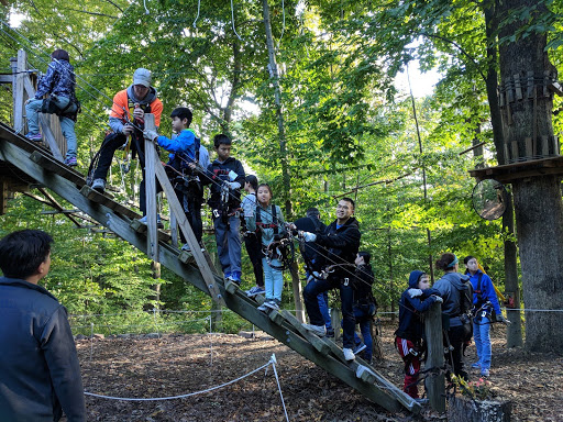 Amusement Park «The Adventure Park at the Discovery Museum», reviews ...