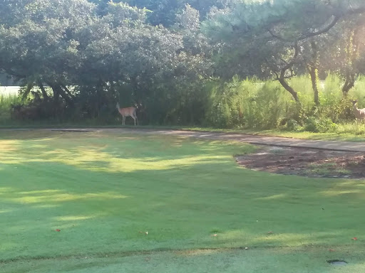 Golf Club «Santa Rosa Golf & Beach Club», reviews and photos, 334 Golf ...