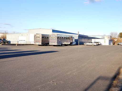 Johnson Horse Transportation - AZexplained