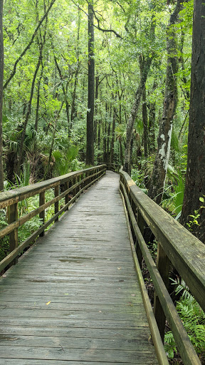 Highlands Hammock State Park - AZexplained