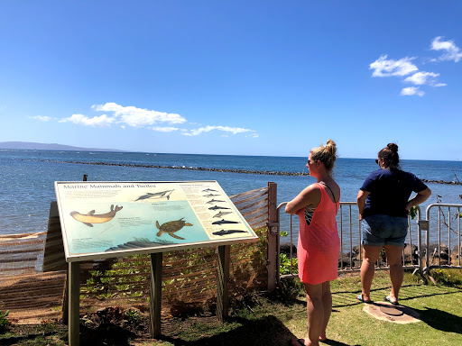 Hawaiian Islands Humpback Whale National Marine Sanctuary Visitor ...