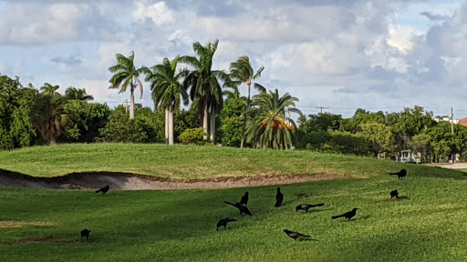 Golf Club «Normandy Shores Golf Course», reviews and photos, 2401 ...