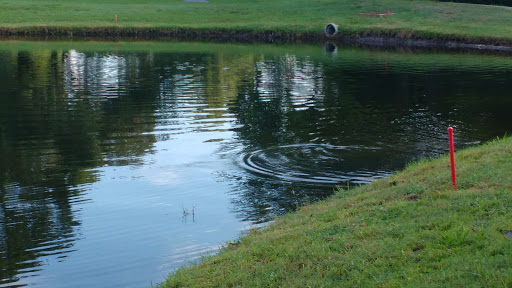 Golf Club «Cypress Run Golf Club», reviews and photos, 2669 St Andrews ...