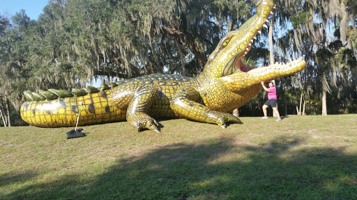 Park «Kit Land Nelson Park», reviews and photos, 10 N Forest Ave ...