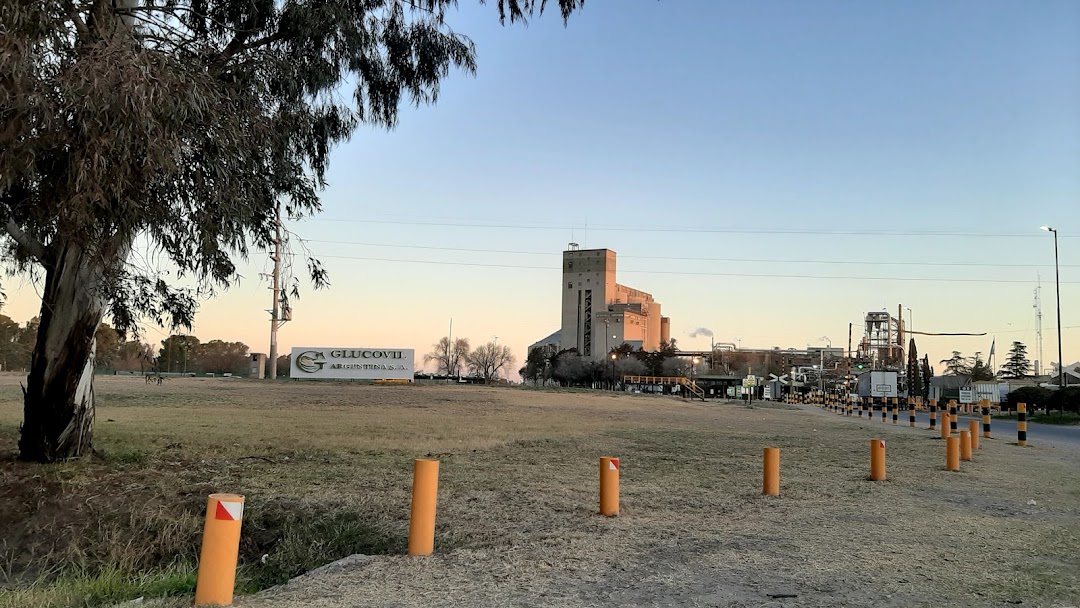 Glucovil Argentina S. A. en la ciudad Villa Mercedes