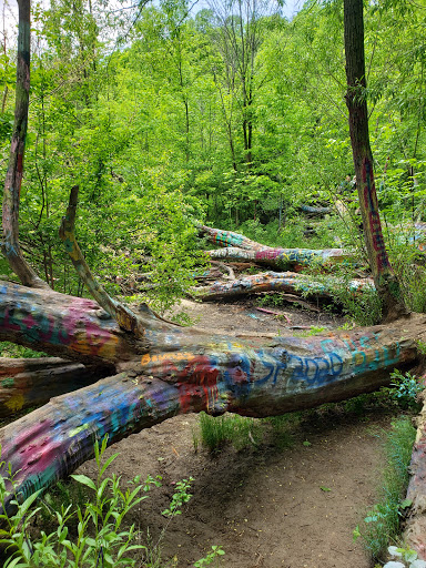 Hippie Tree - Traverse City, Michigan, US - Zaubee