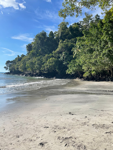 Tulemar Resort Costa Rica | Official Website