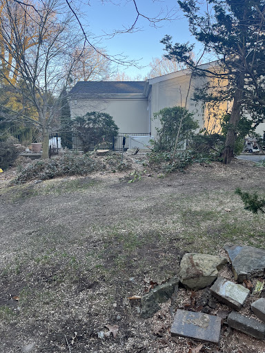 New York City's Premier Tree Service | All Stars Tree Solutions | 20+yrs