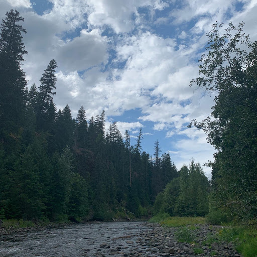 Little Naches Campground in Naches, Washington - Zaubee