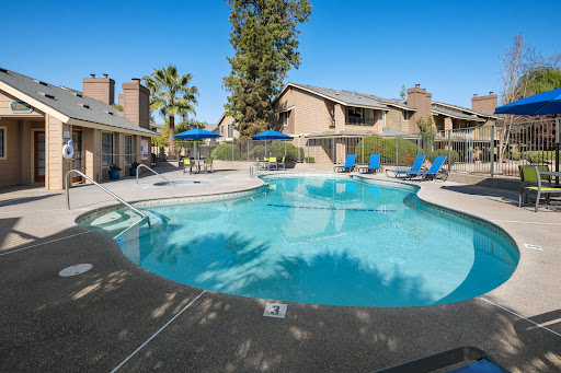 The Springs - AZexplained