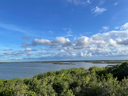 Turtle Mound in New Smyrna Beach, Florida - Zaubee