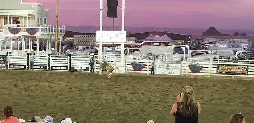 Farm-City Pro Rodeo in Hermiston, Oregon - Zaubee