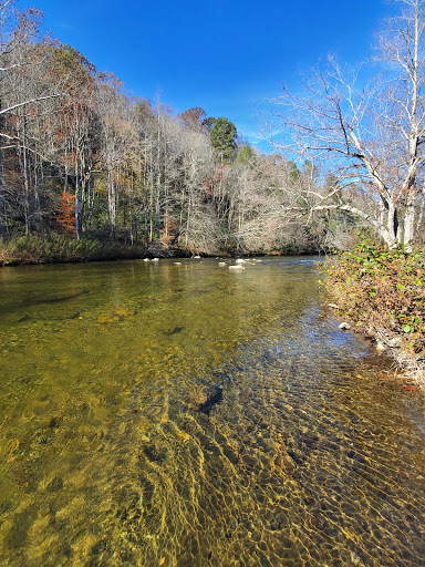 Tellico River Gorge