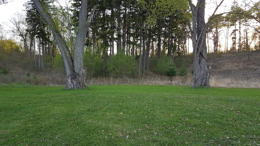 Park «Quaking Bog», reviews and photos, Theodore Wirth Pkwy ...