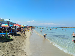 Fig Tree Bay Beach 🏖️ Cyprus, Cyprus - detailed features, map, photos