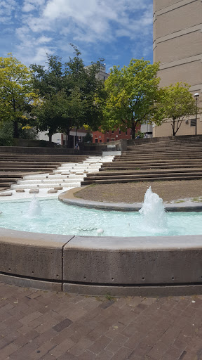 Wisconsin Department of Natural Resources - AZexplained