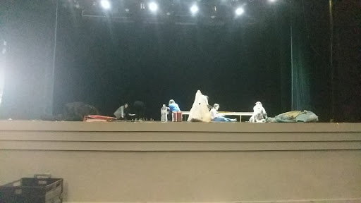 Performing Arts Theater «Princess Theatre», reviews and photos, 112 2nd ...