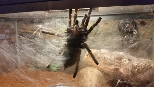 Museum «Insectropolis», reviews and photos, 1761 U.S. 9, Toms River, NJ ...