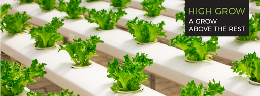 HighGrow Hydroponics - Hydroponics Equipment Supplier in Rooihuiskraal