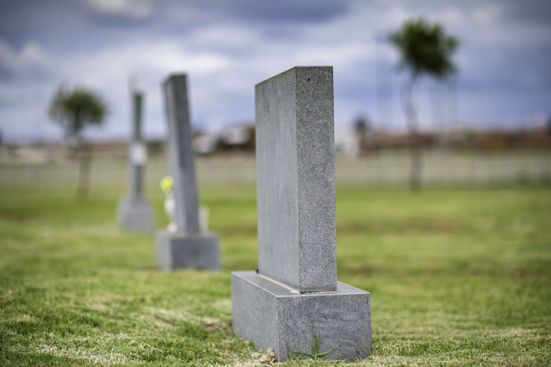 Enokuthula Memorial Park Cemetery in the city Brakpan