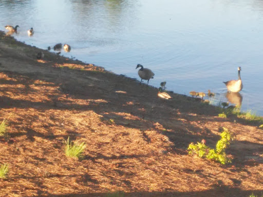 Park «Hunter Memorial Park», reviews and photos, 8830 Gurley Rd ...