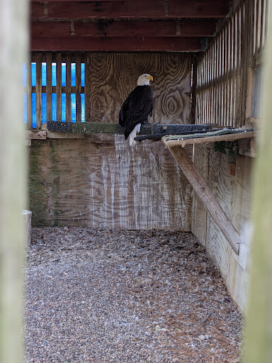 Nature Preserve «Iowa Raptor Center», reviews and photos, 2095 Mehaffey ...