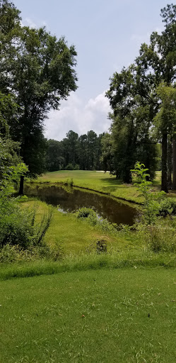 Golf Course «Riverview Park Golf Course», reviews and photos, 100 ...