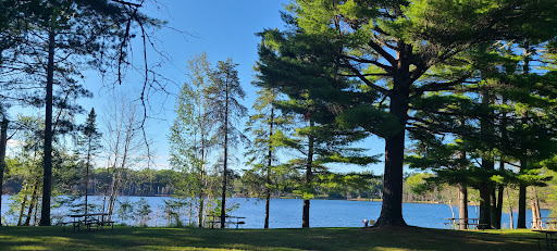 Torch Lake Campground & RV Park in Conover, Wisconsin - Zaubee