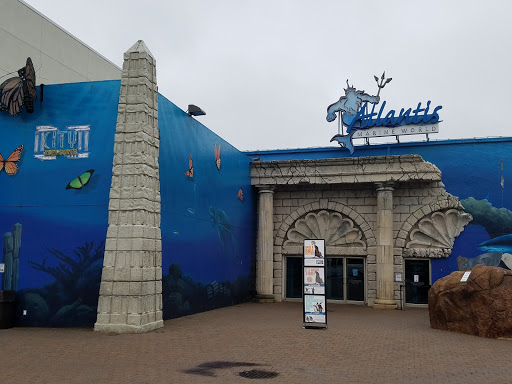Aquarium «Long Island Aquarium», reviews and photos, 431 E Main St ...