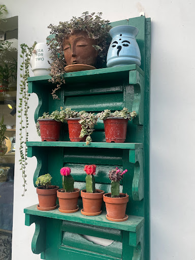 Himalayan SIP - Mangal Bazaar, Lalitpur, - Zaubee