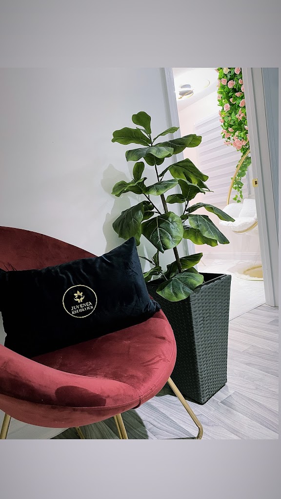 JUVENEX ESTHETICS - Lynn, MA 01904 - Services and Reviews