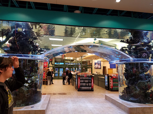 The Outlets at Legends - AZexplained